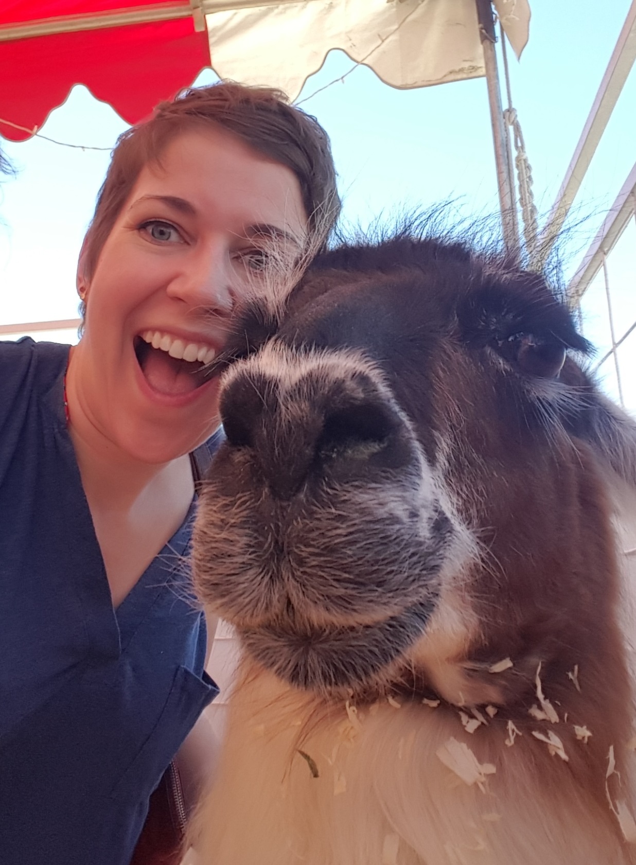 carriesager.com – I'm Carrie. This is my website.